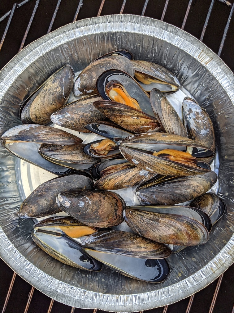 5 Delicious Mussel Recipes You Will Love